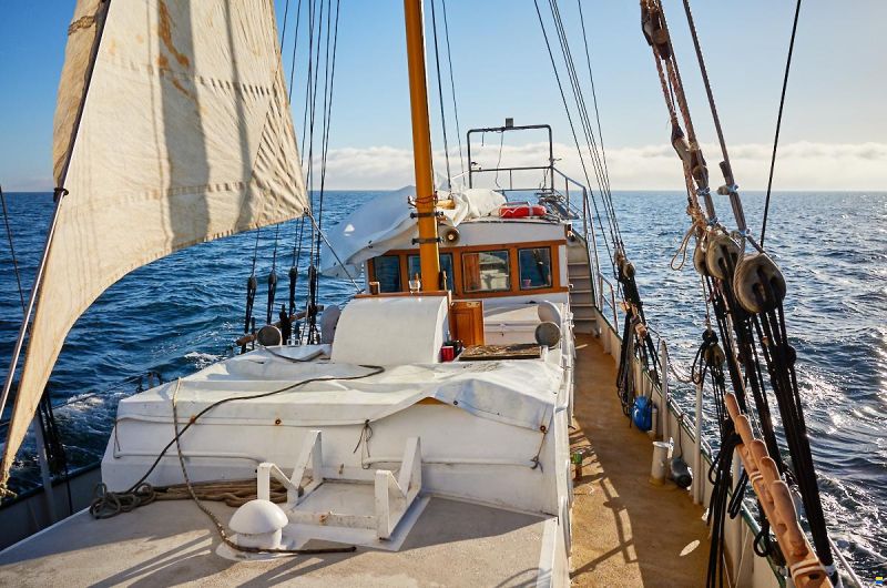 1993 Tom Colvin 56 - Bay Bulls Newfoundland, 85 000