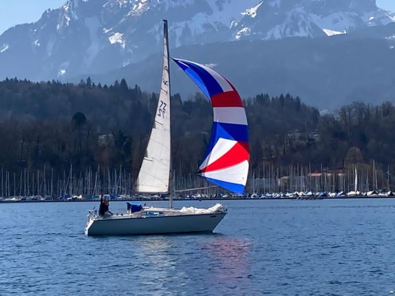 1980 Boo Marin Aphrodite 25, CHF 9.500,-
