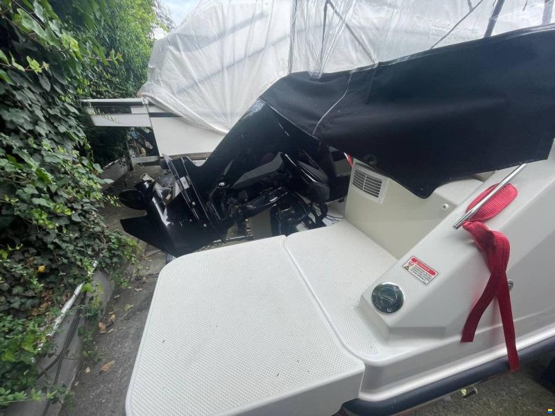 2021 Quicksilver ACTIV 555 CABIN, EUR 34.900,-