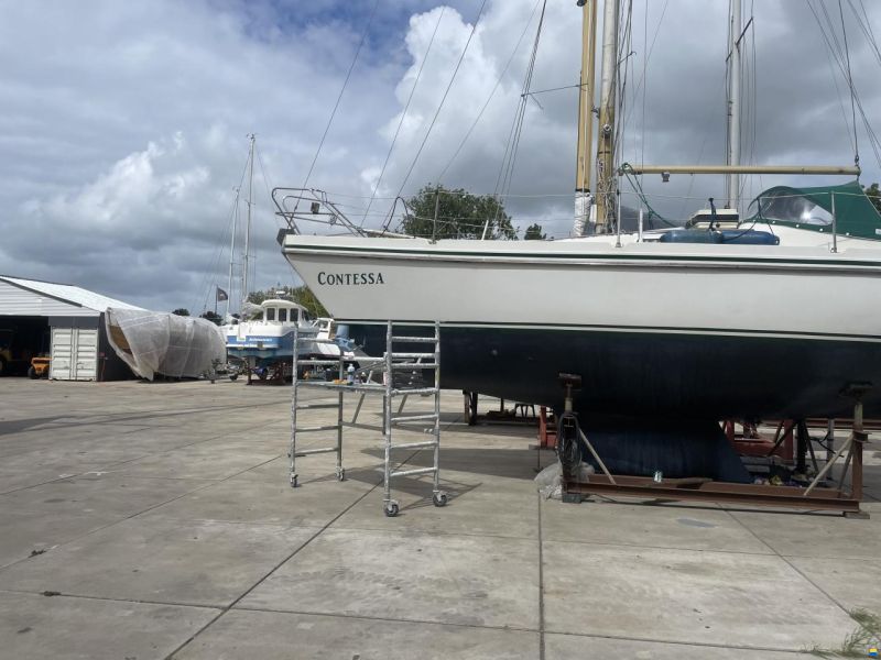 1978 Conyplex Contest 31 HT, EUR 17.500,-