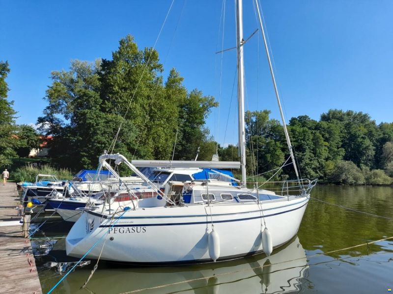 2009 Pegaz 737, EUR 19.000,-