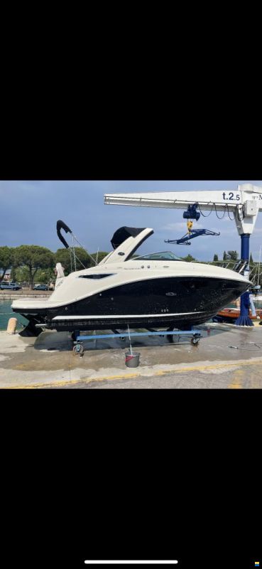 2019 Sea Ray 265 Sundancer, EUR 165.000,-