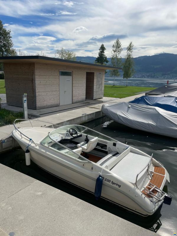 2004 Rio Spring 550, CHF 14.999,-