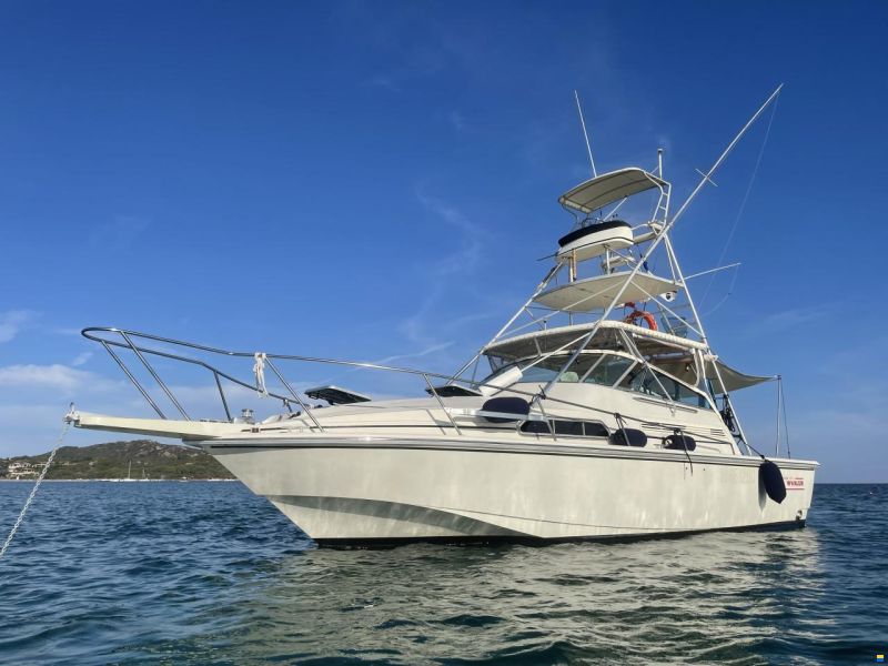 1992 Boston Whaler 31 Express, EUR 51.000,-