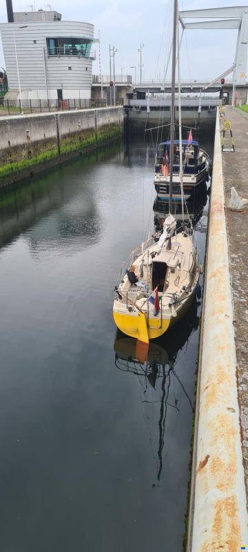 1978 Dehler Delanta, EUR 1.500,-