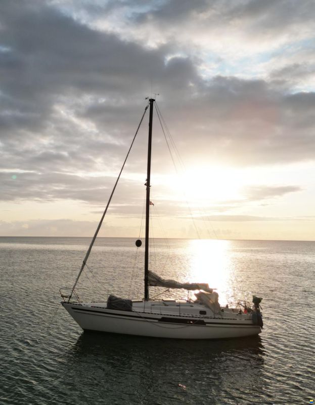 1979 Neptun 31, EUR 19.900,-