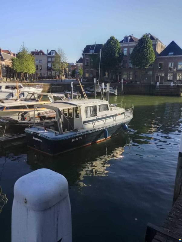 2000 Polycat 850, EUR 1.000,-