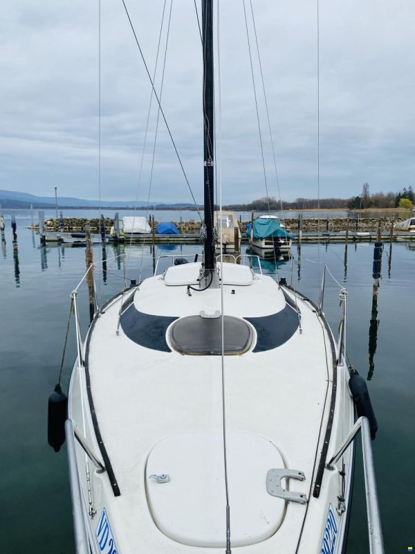 1983 Albatros Condor 70, CHF 6.000,-