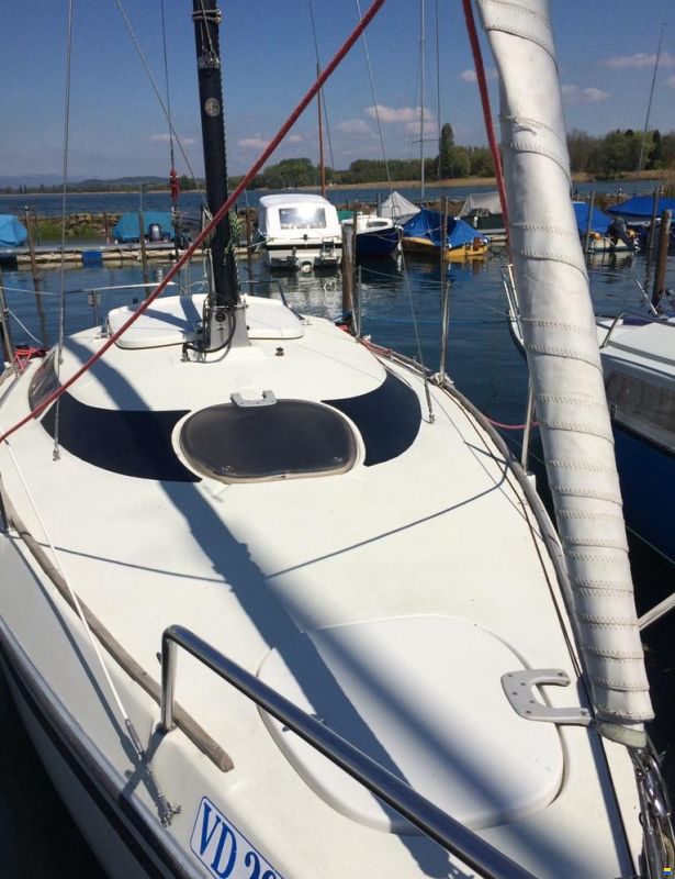 1983 Albatros Condor 70, CHF 6.000,-