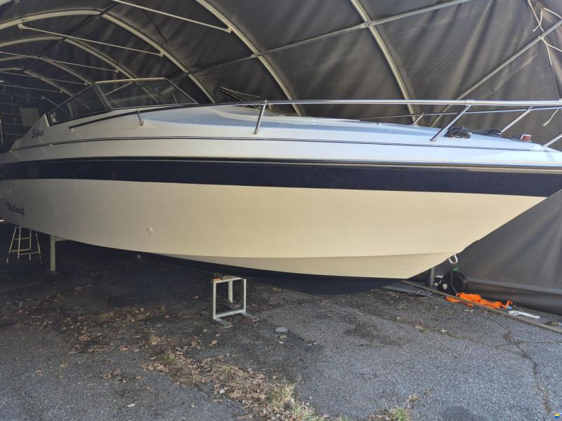 1992 Wellcraft Eclipse, EUR 22.500,-