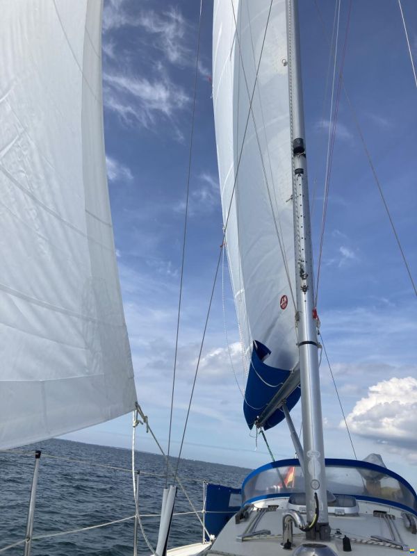 1984 OY Nykra Sunwind 31, EUR 25.000,-