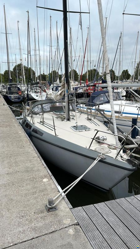 1976 Maxi 95, EUR 14.500,-