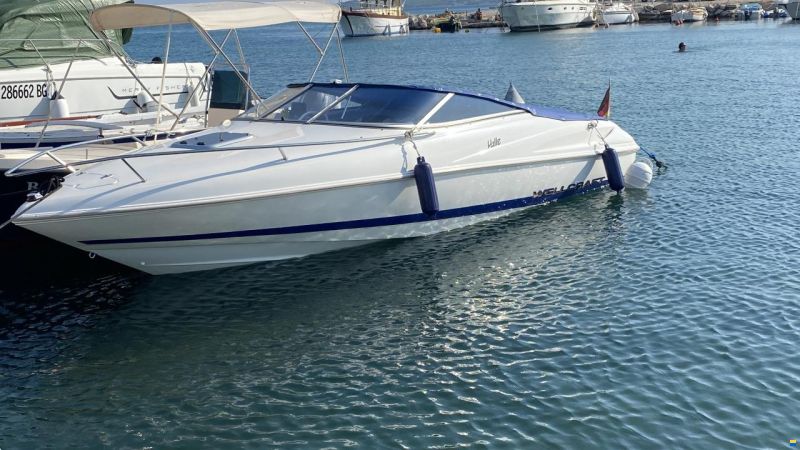 1996 Wellcraft Excel SL 21, EUR 20.500,-