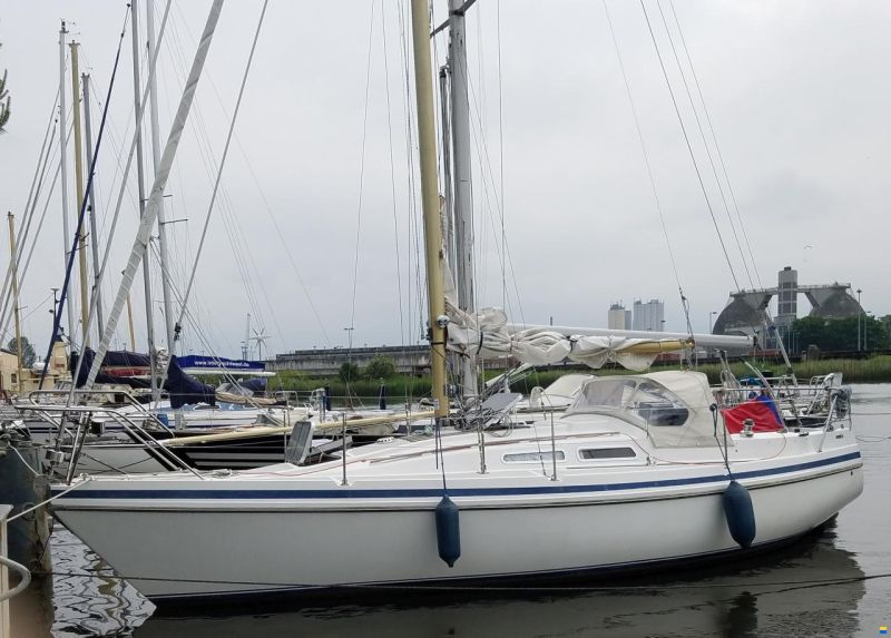 1976 Conyplex Contest 30, EUR 9.800,-