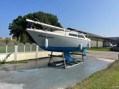 1980 Delanta 75, EUR 3.000,-