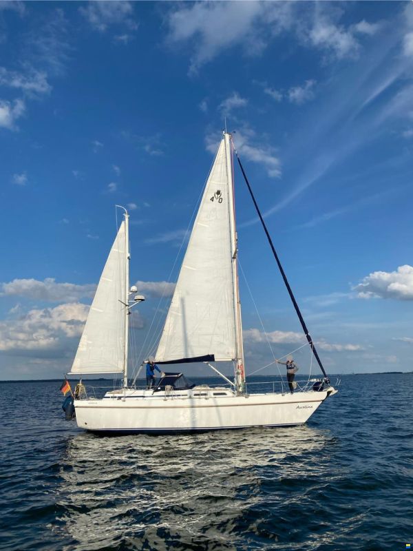 1980 Contest 40 Ketch, EUR 98.000,-