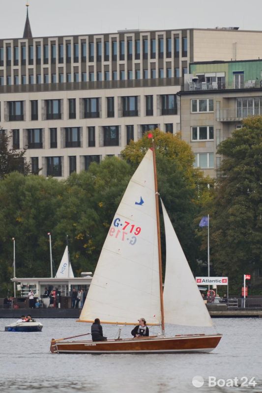 Schwertzugvogel | YACHT