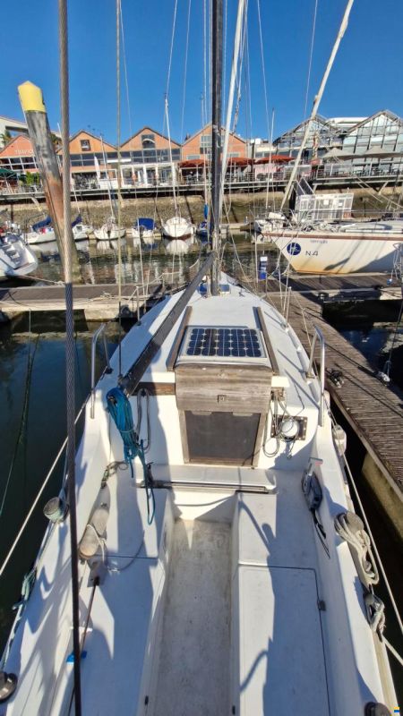 1974 Atlas 25, EUR 10,500