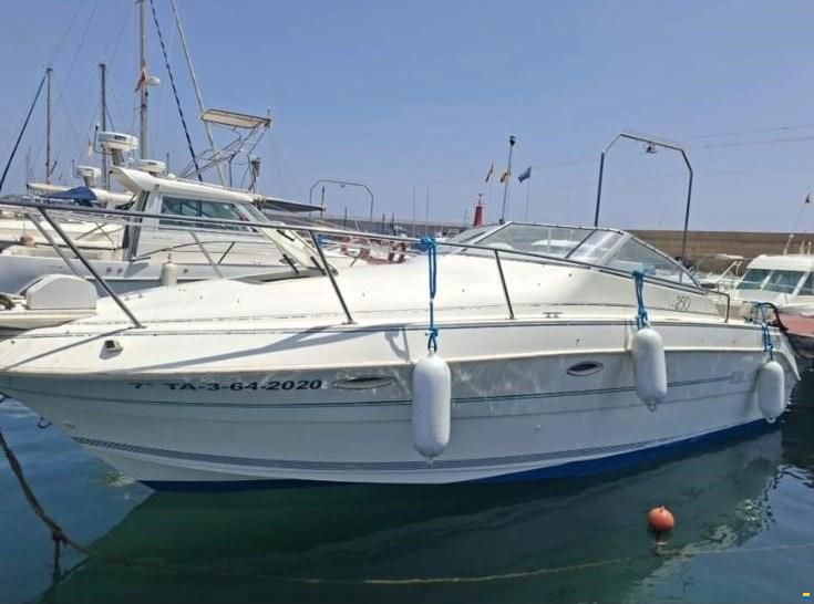 1994 Larson Cabrio 250, EUR 18.000,-