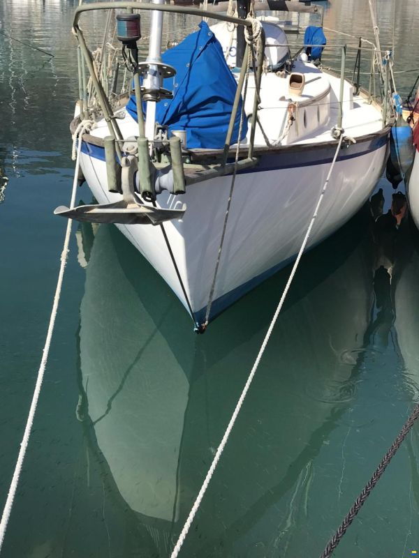 1976 Bluewater Yachts ingrid 38, EUR 45.000,-