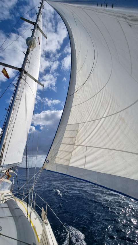 Veleros de segunda mano en venta - Compra tu velero usado en Boat24