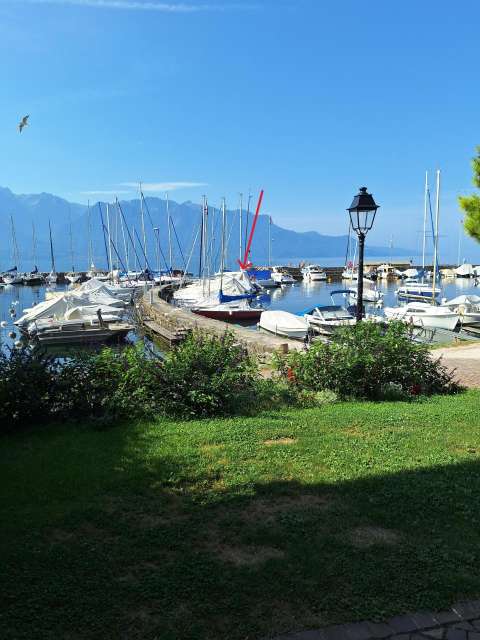 Boot kaufen: Über 6'100 Angebote im grössten Schweizer Bootsmarkt