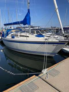 1984 OY Nykra Sunwind 31, EUR 25.000,-