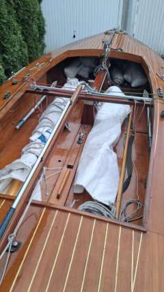 Schwertzugvogel | YACHT