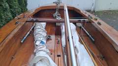 Schwertzugvogel | YACHT