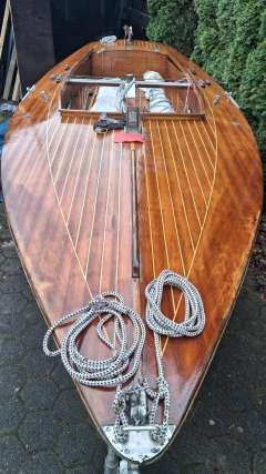 Schwertzugvogel | YACHT