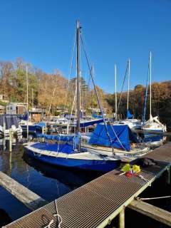 Ottenhome Heeg BV Polyvalk | YACHT