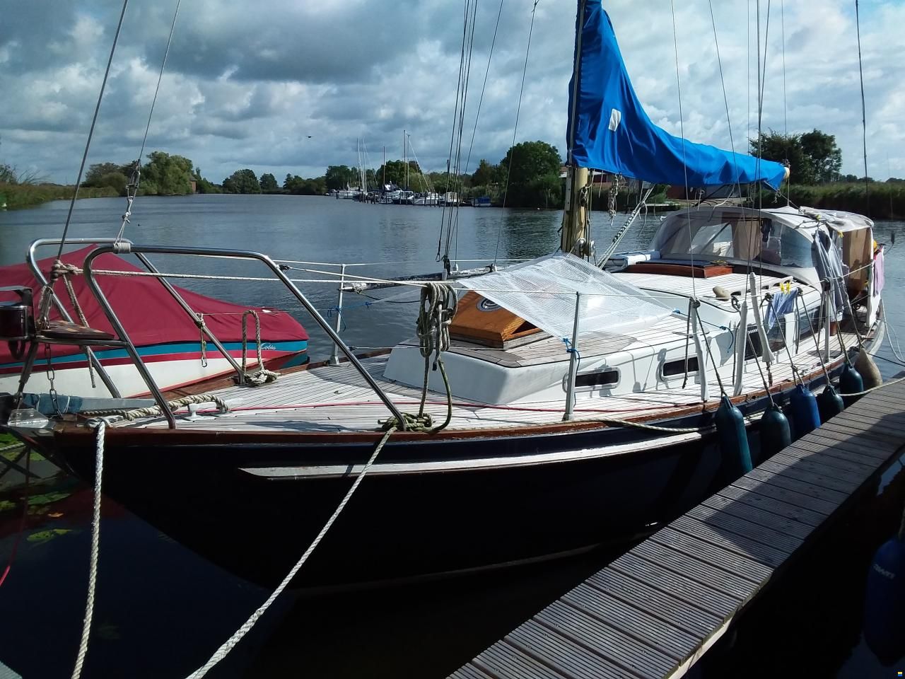 Great dane 28