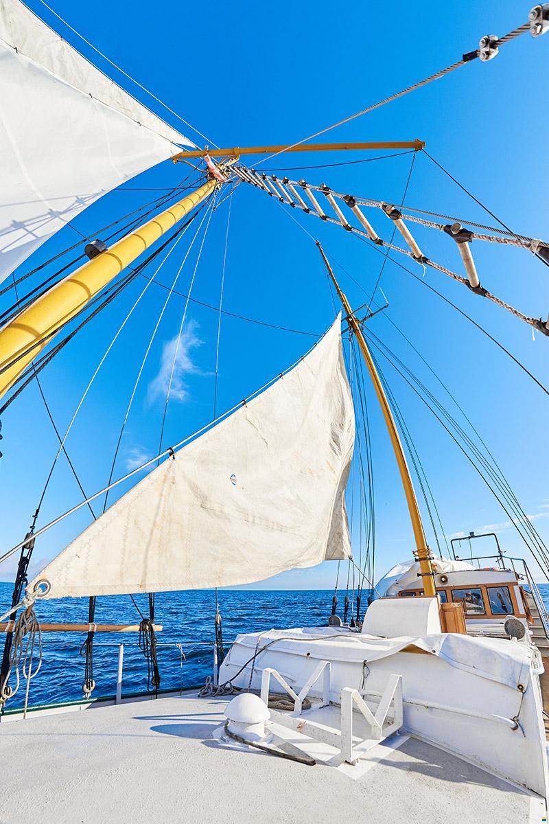 1993 Tom Colvin 56 - Bay Bulls Newfoundland, 80 000 EUR