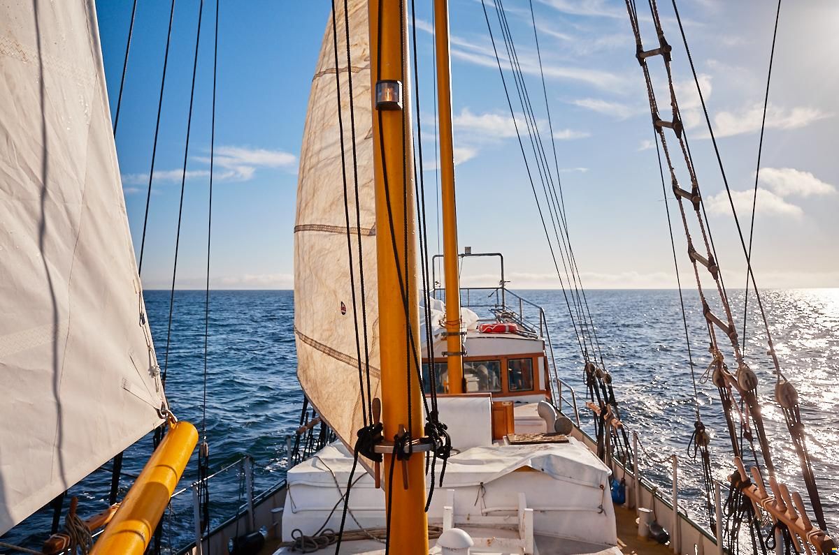 1993 Tom Colvin 56 - Bay Bulls Newfoundland, 80 000 EUR