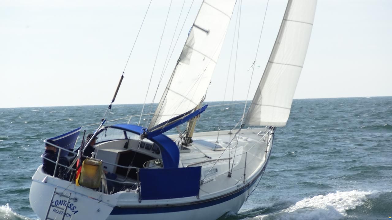 1976 Conyplex Contest 31 HT, 20 000