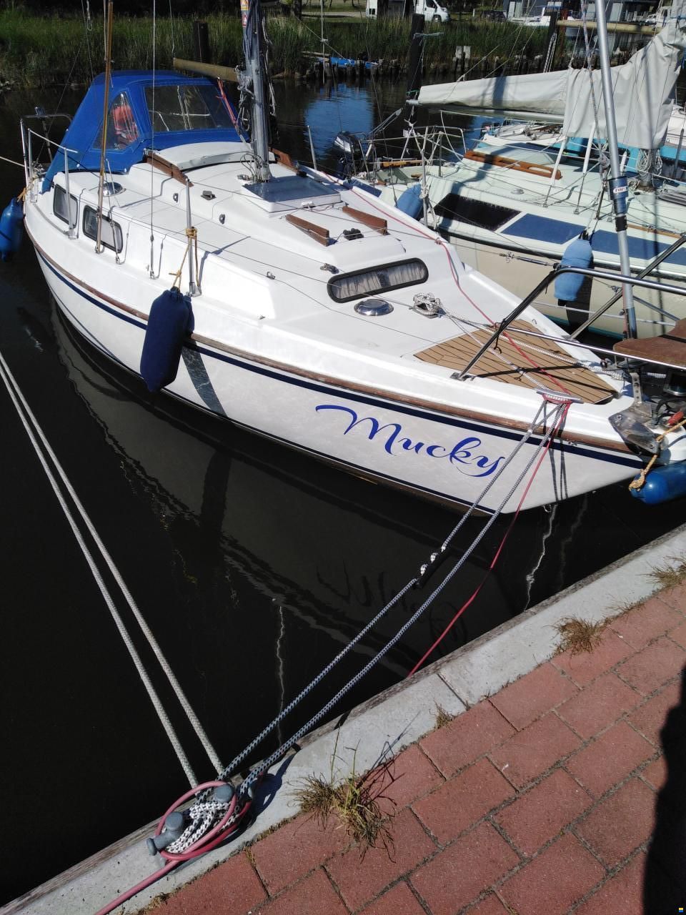 1984 Neptun 26 to sell