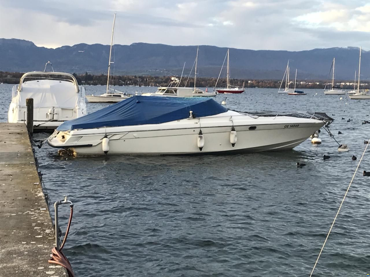 1987 Cranchi Endurance 31, CHF 10.000,-