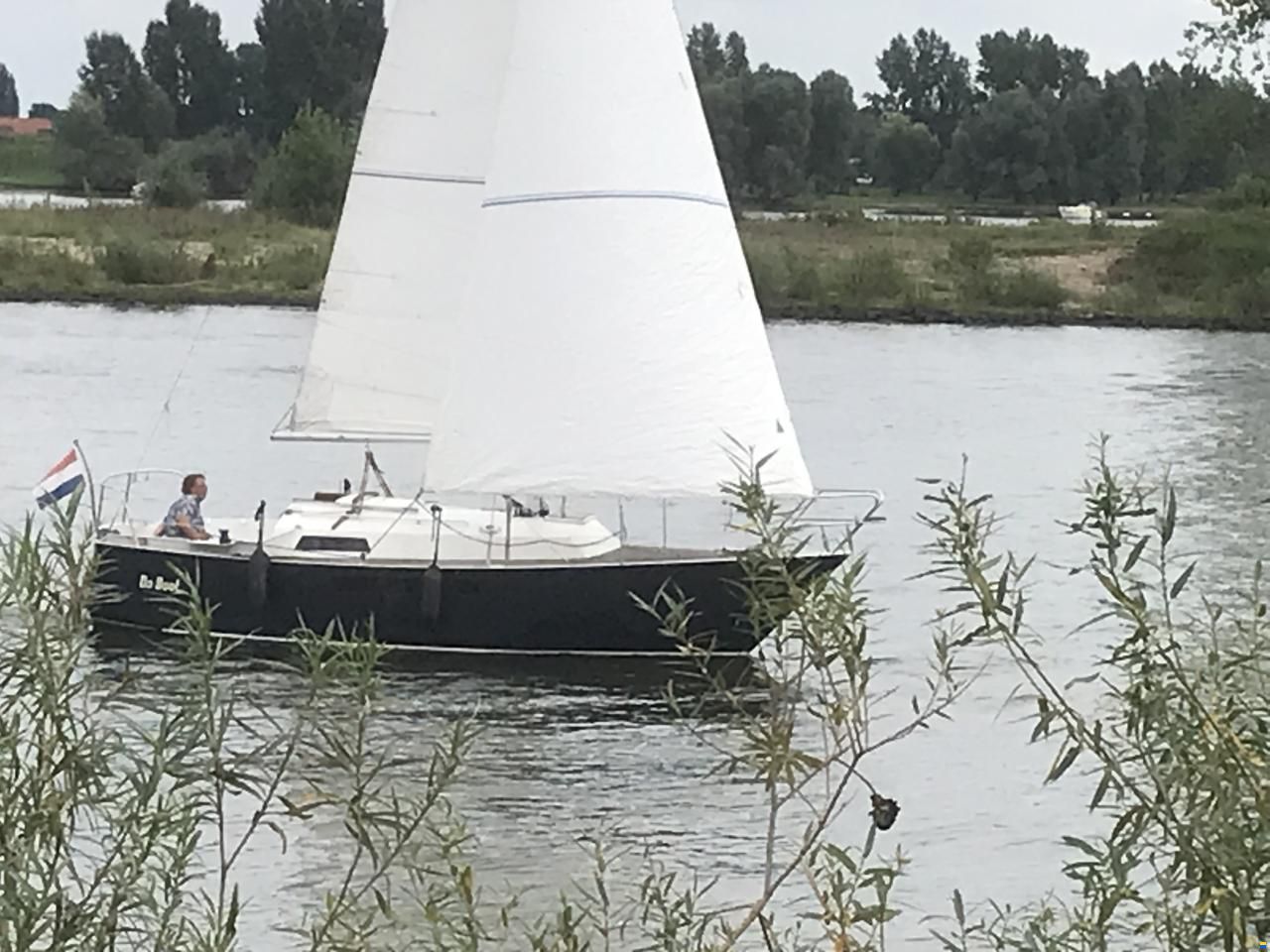 Wibo van Wijk 835, EUR 3.500,-