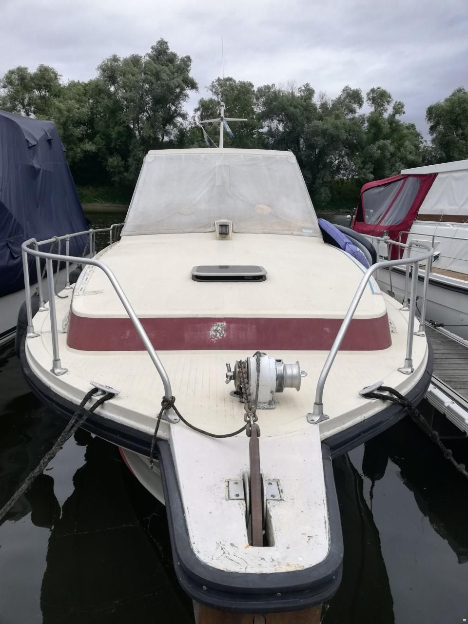 Cytra Skipper 31