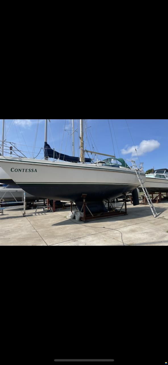 1978 Conyplex Contest 31 HT, EUR 17.500,-