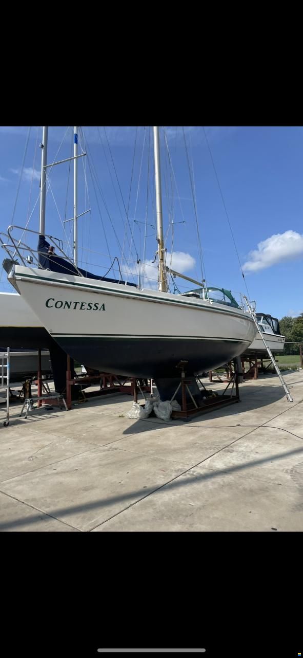 1978 Conyplex Contest 31 HT, 17 500