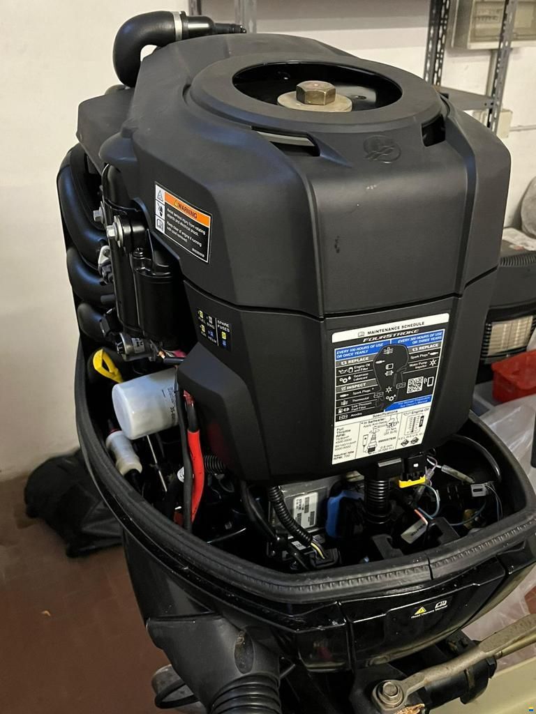 2018 Mercury 100 efi elpt, EUR 8.800,-