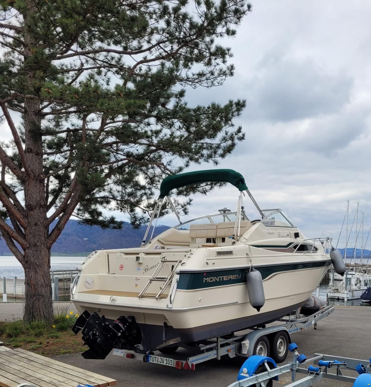 1996 Monterey 256 Cruiser, EUR 39.500,-