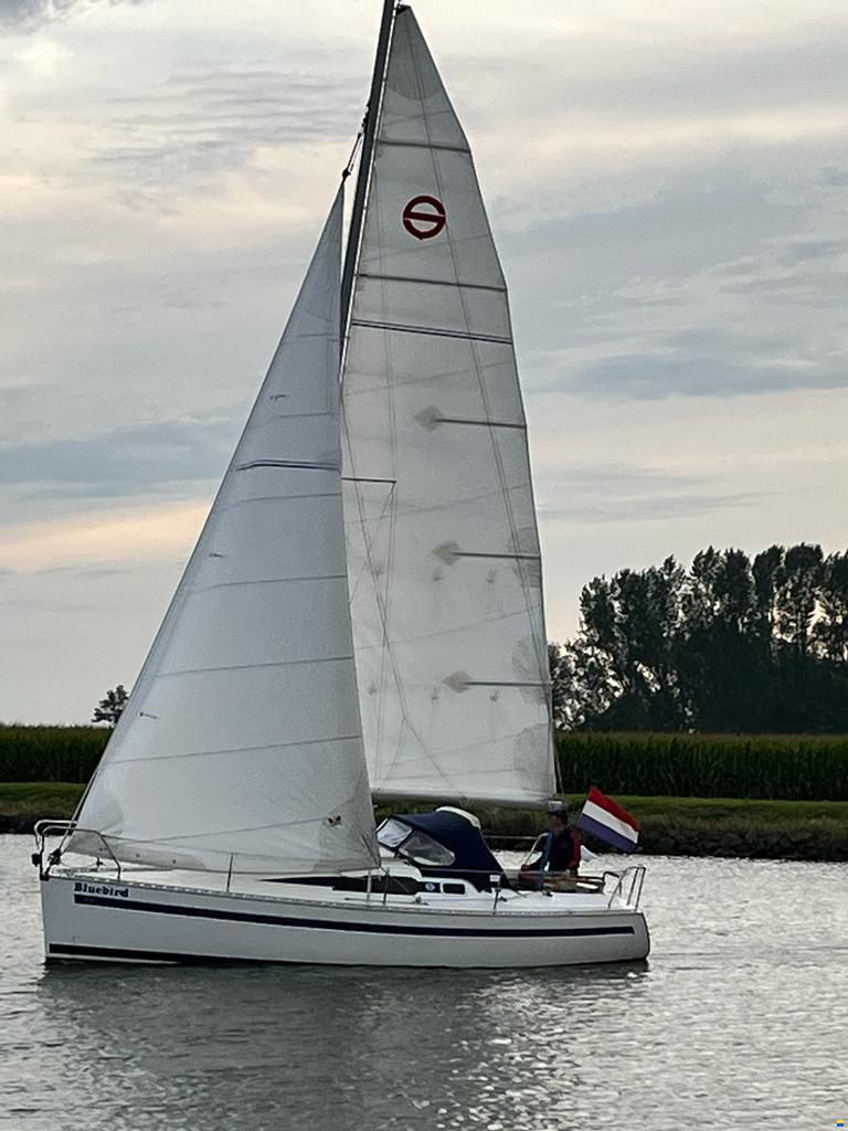 Sunbeam 24 Gebraucht