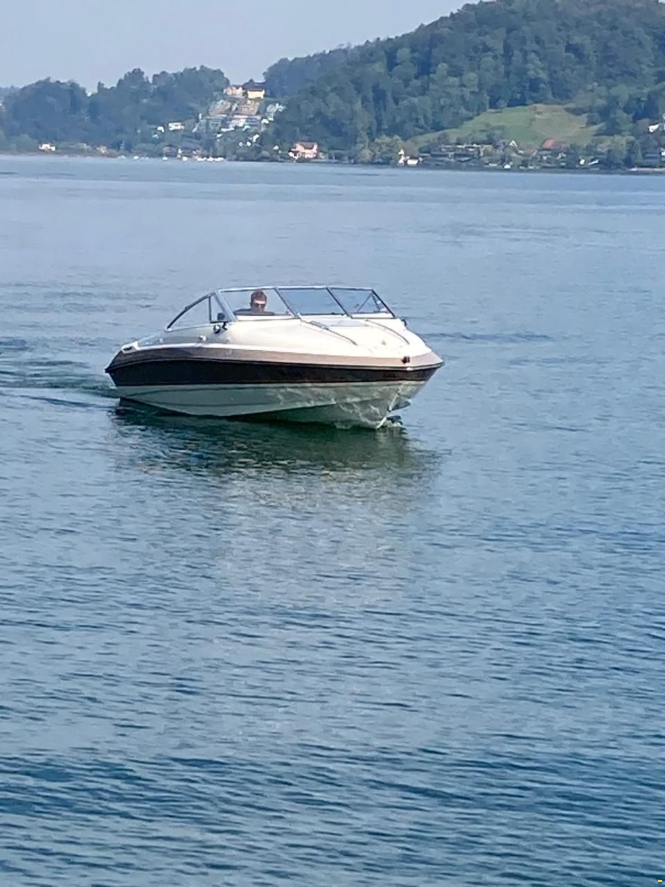 1991 Larson All American 210, CHF 12.900,-