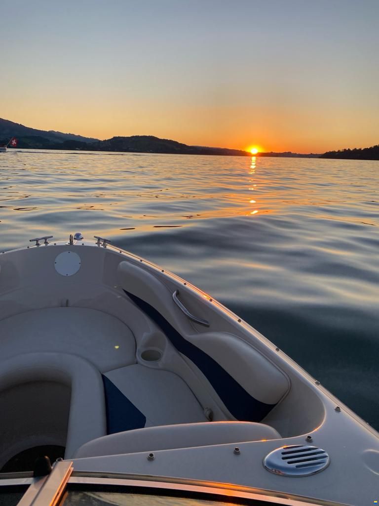 2002 Larson 210 Sei, CHF 19.500,-