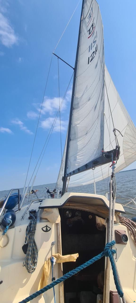 1978 Dehler Delanta, EUR 1.500,-