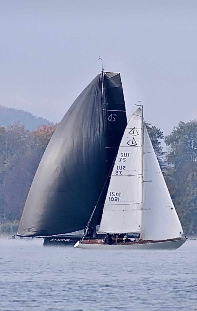 1975 Luthi Flying Forty, CHF 9.500,-