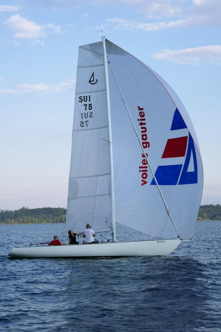 1975 Luthi Flying Forty, CHF 14.000,-