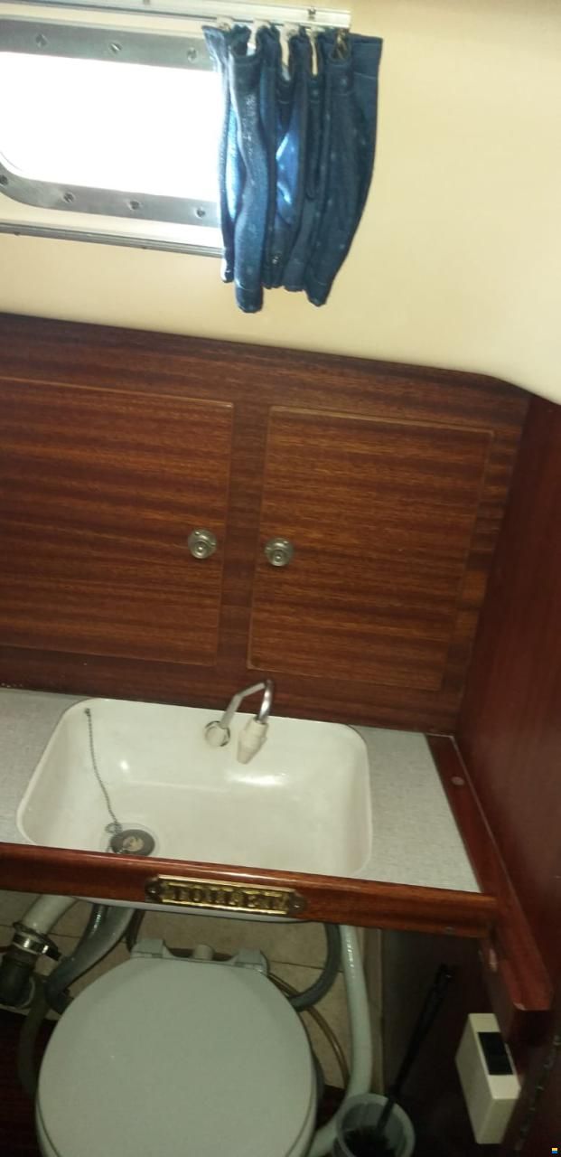 1973 Conyplex Contest 31, EUR 12.000,-